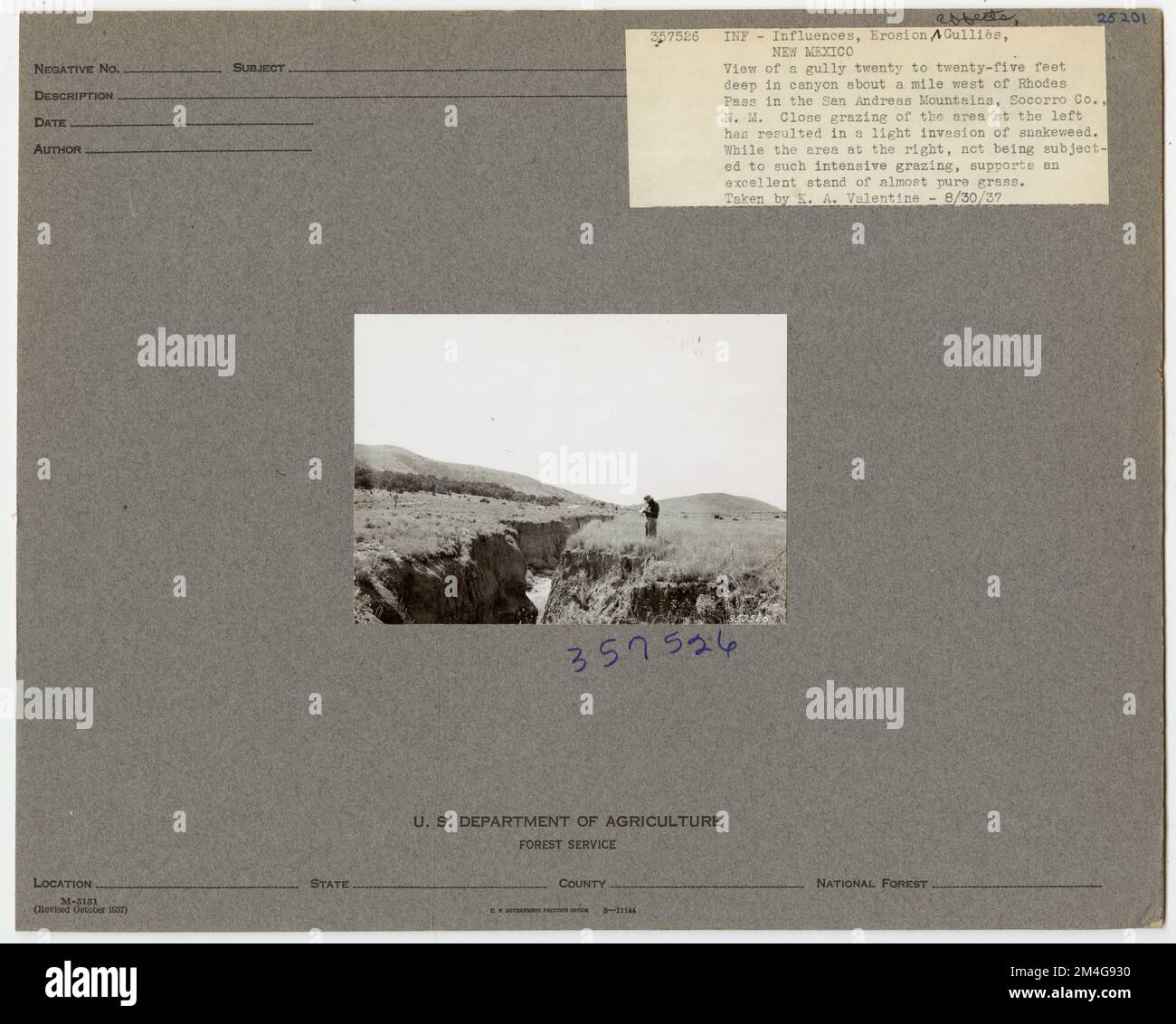 Erosion Effects - New Mexico. Photographs Relating to National Forests ...