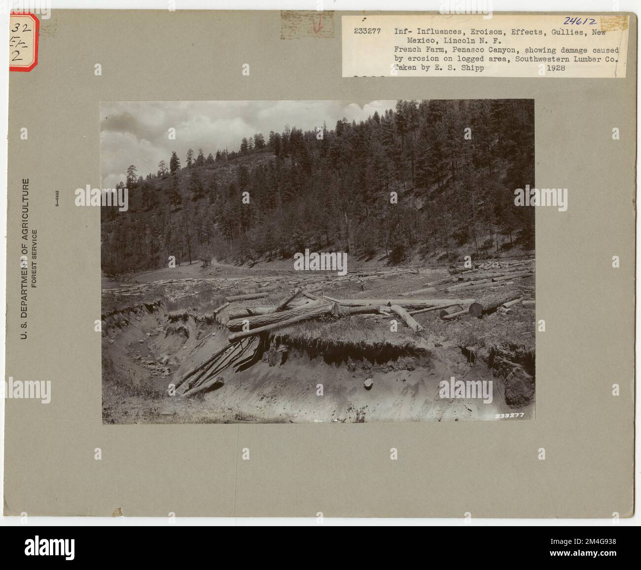 Erosion Effects - New Mexico. Photographs Relating to National Forests ...