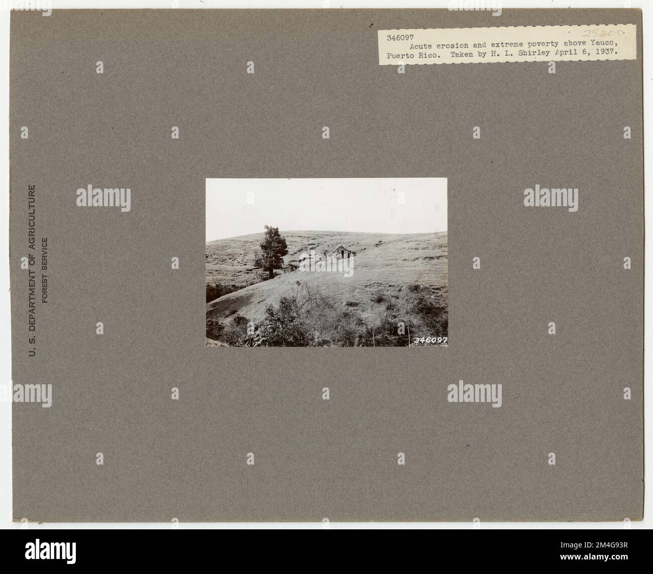 Erosion Effects - Puerto Rico. Photographs Relating to National Forests ...