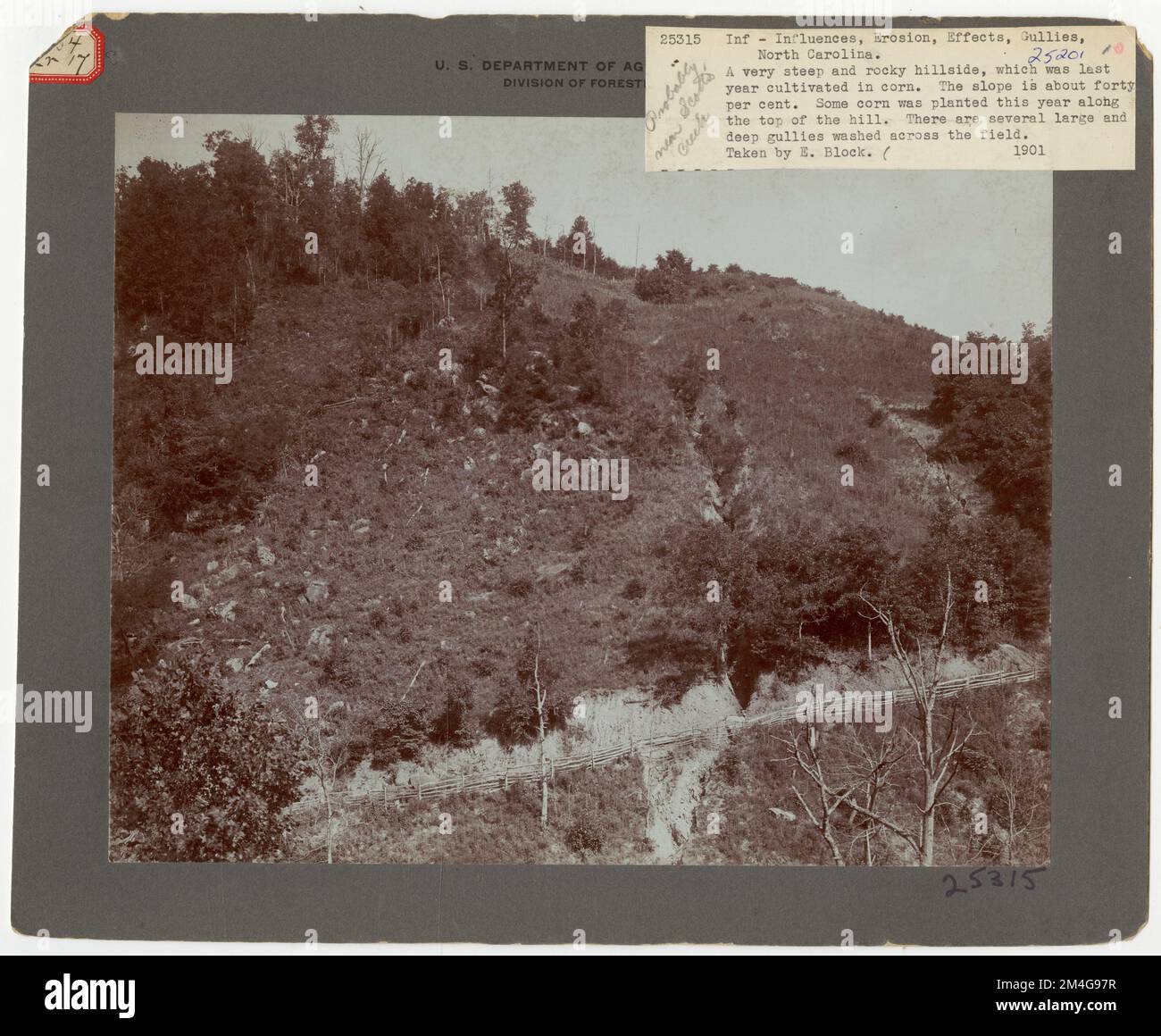 Erosion Effects - North Carolina. Photographs Relating to National ...