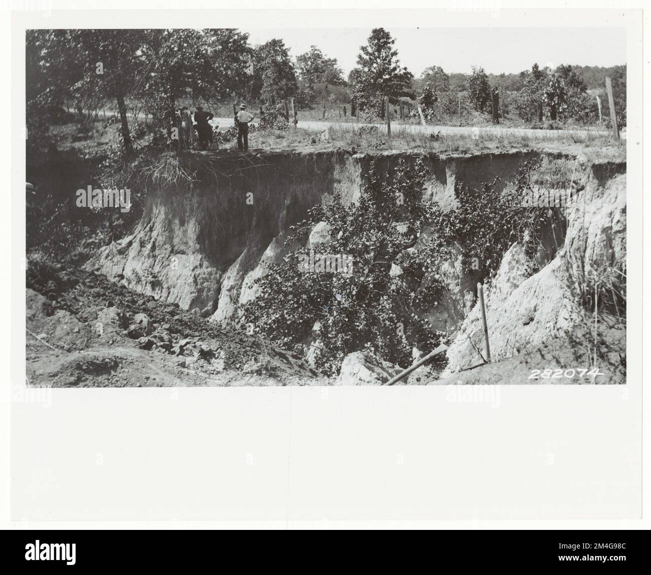 Erosion Effects - Mississippi. Photographs Relating to National Forests ... Erosion Effects - Mississippi. Photographs Relating to National Forests ...