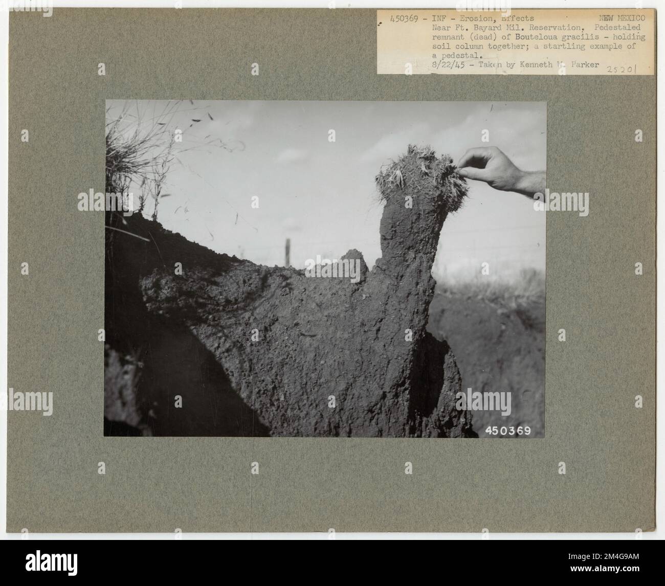 Erosion Effects - New Mexico. Photographs Relating to National Forests ...