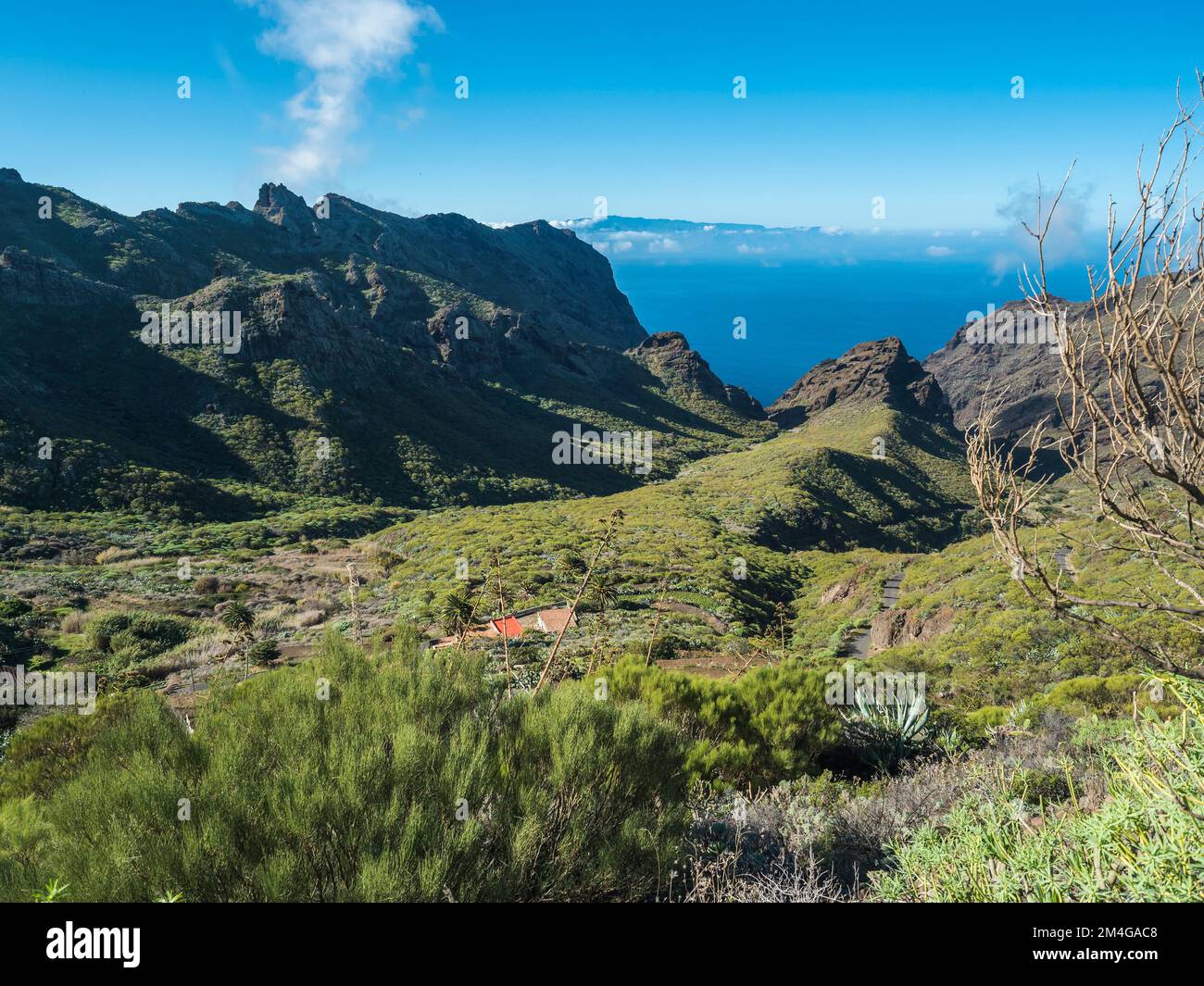 Los carrizales hi-res stock photography and images - Alamy