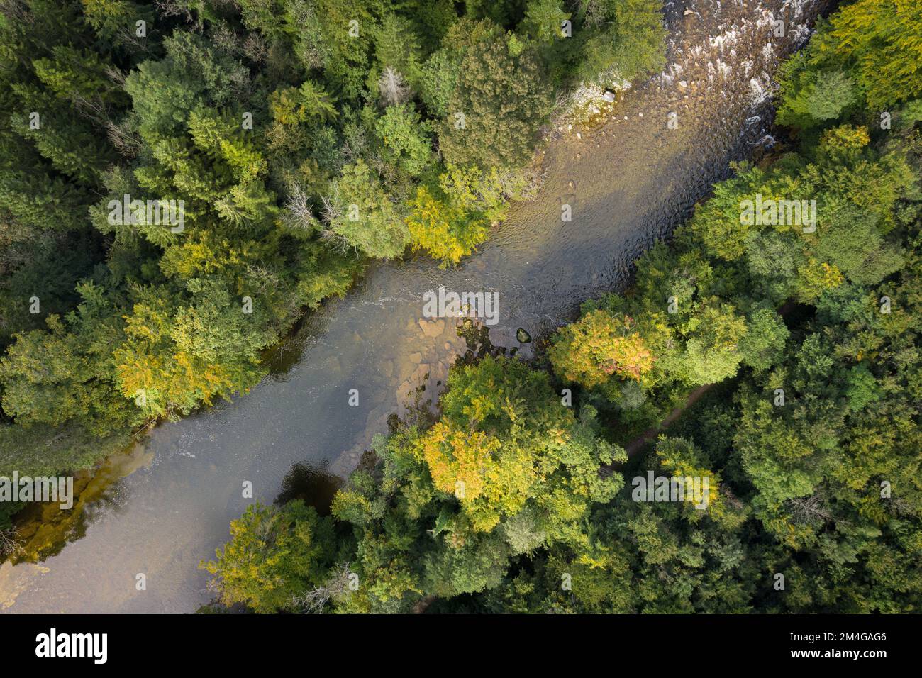 river Argen shortly before it flows into Lake Constance, aerial view ...