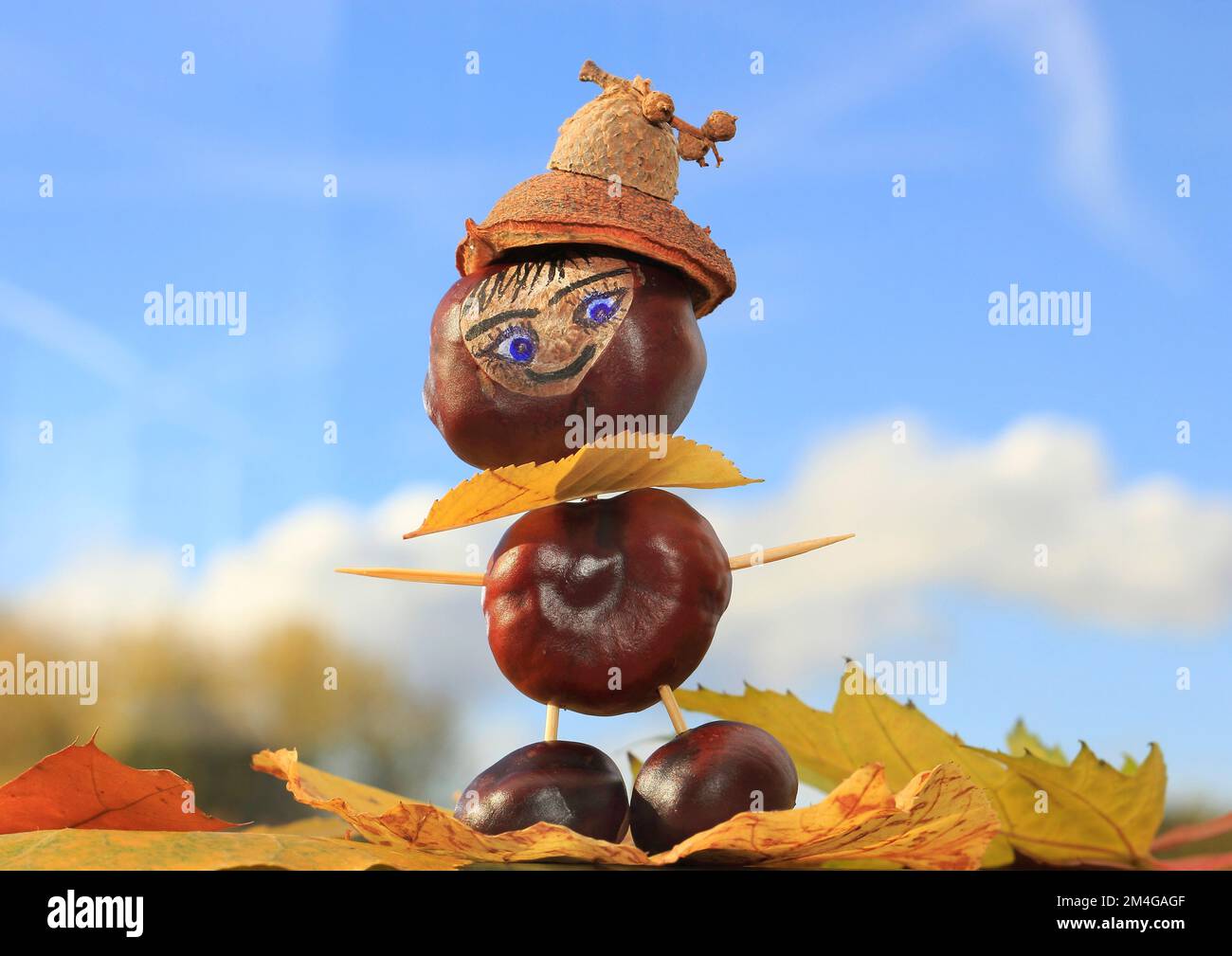 cute chestnut figure with hat Stock Photo - Alamy
