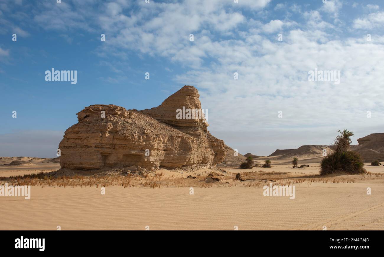 Landscape scenic view of desolate barren western desert in Egypt ...