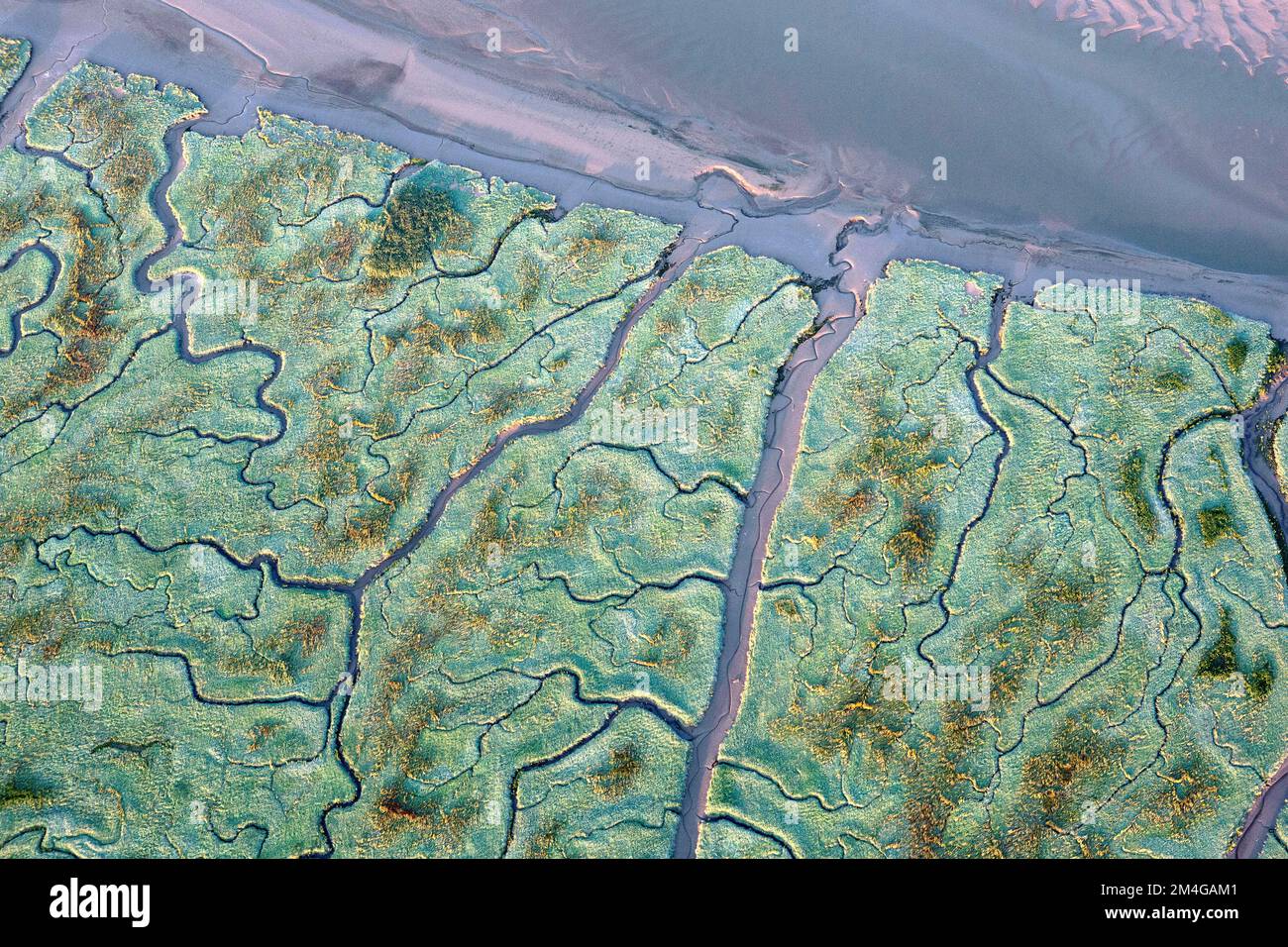 aerial view of salt marsh Verdronken Land van Saeftinghe, Belgium ...