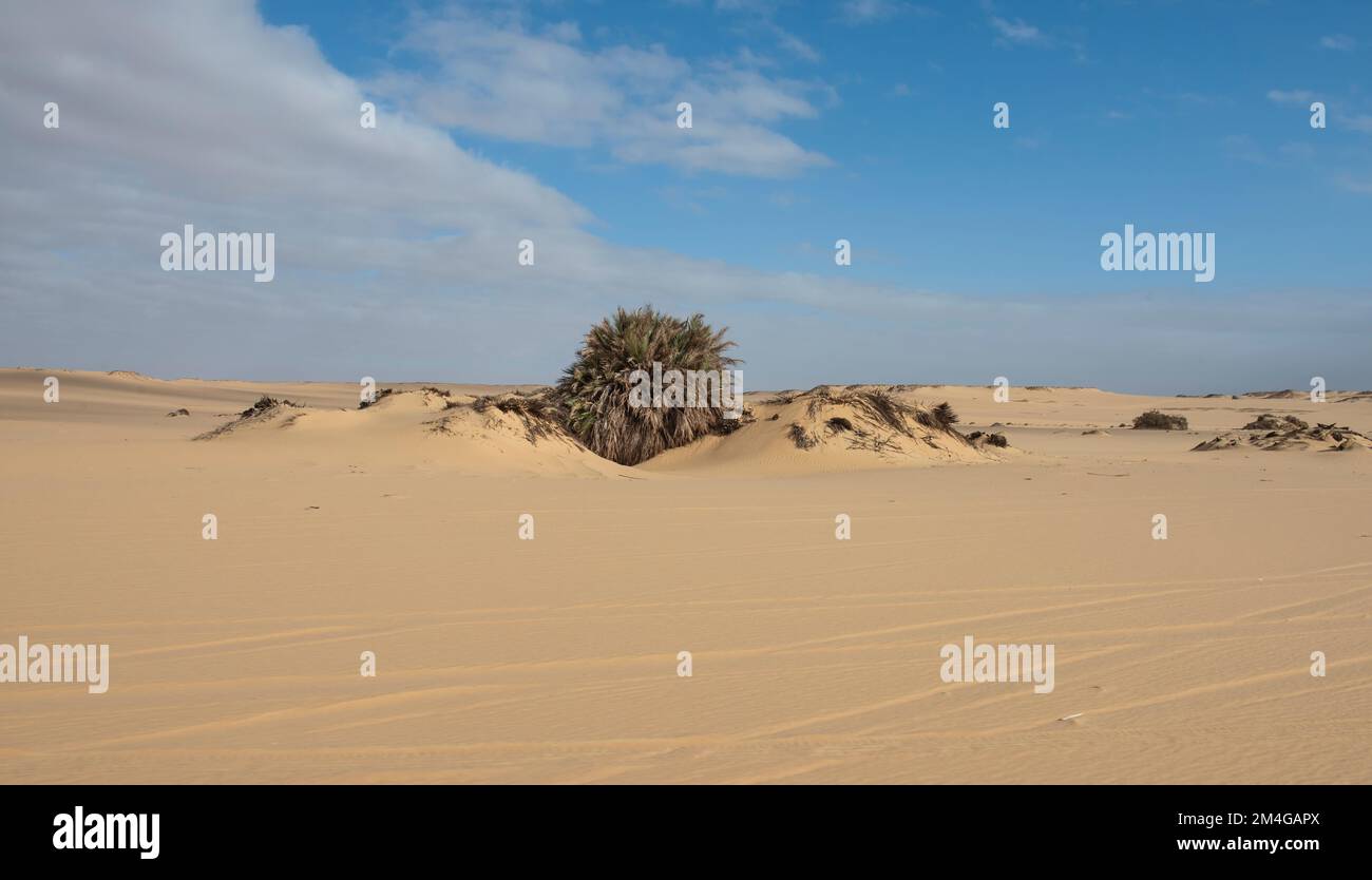 Landscape scenic view of desolate barren western desert in Egypt ...
