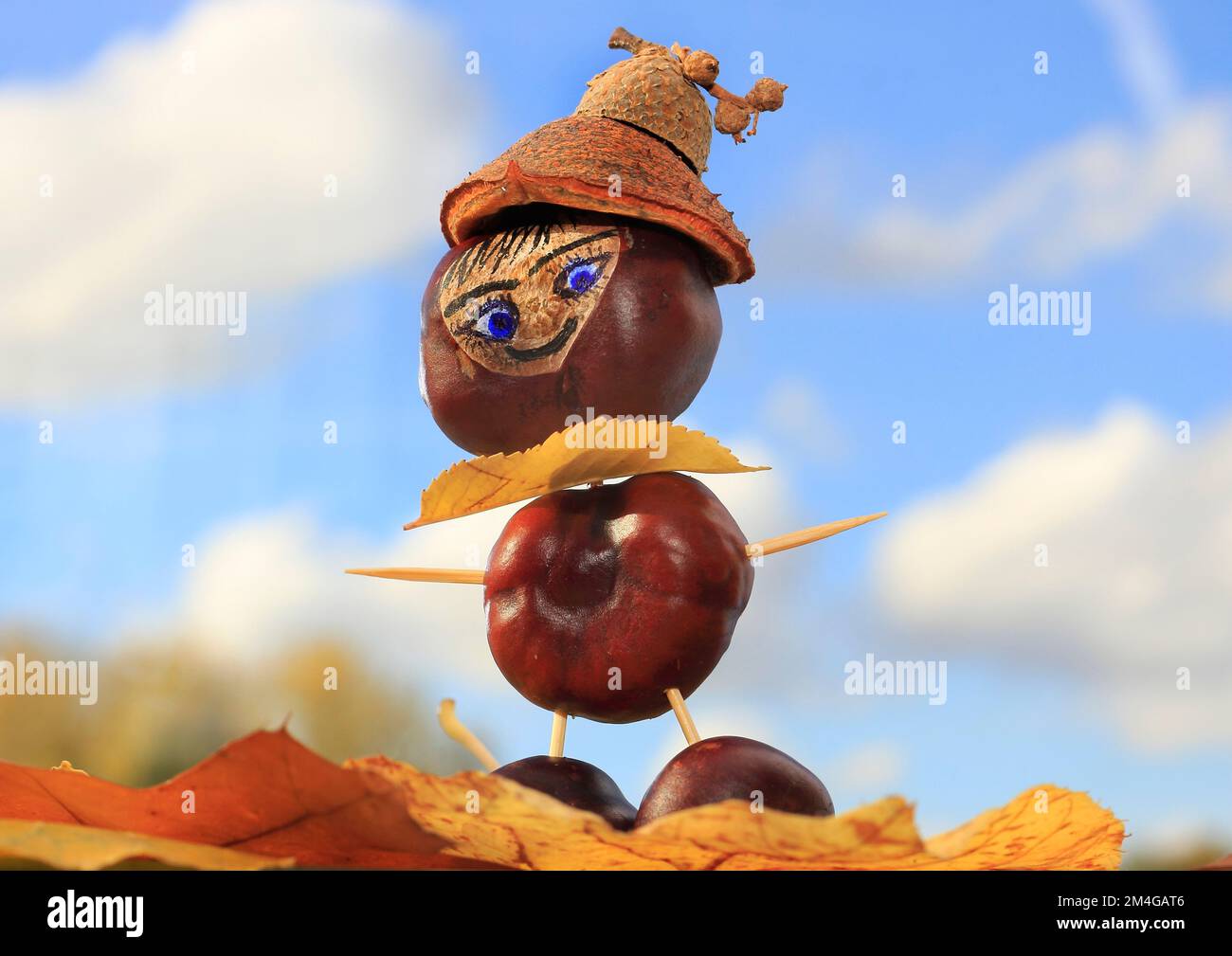 cute chestnut figure with hat Stock Photo - Alamy