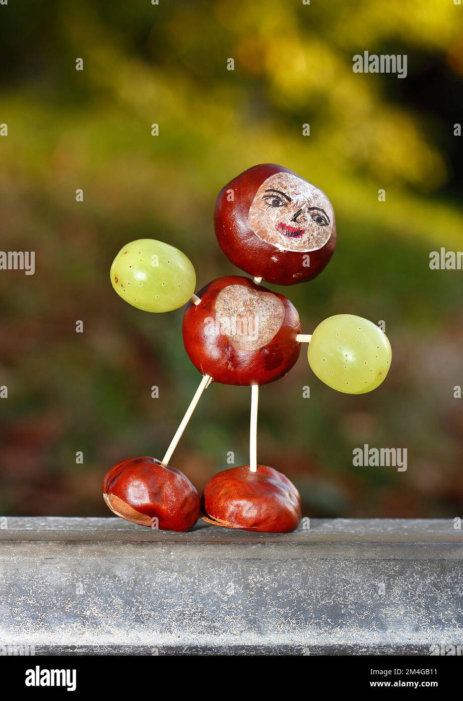 cute chestnut figure with wine grapes Stock Photo - Alamy