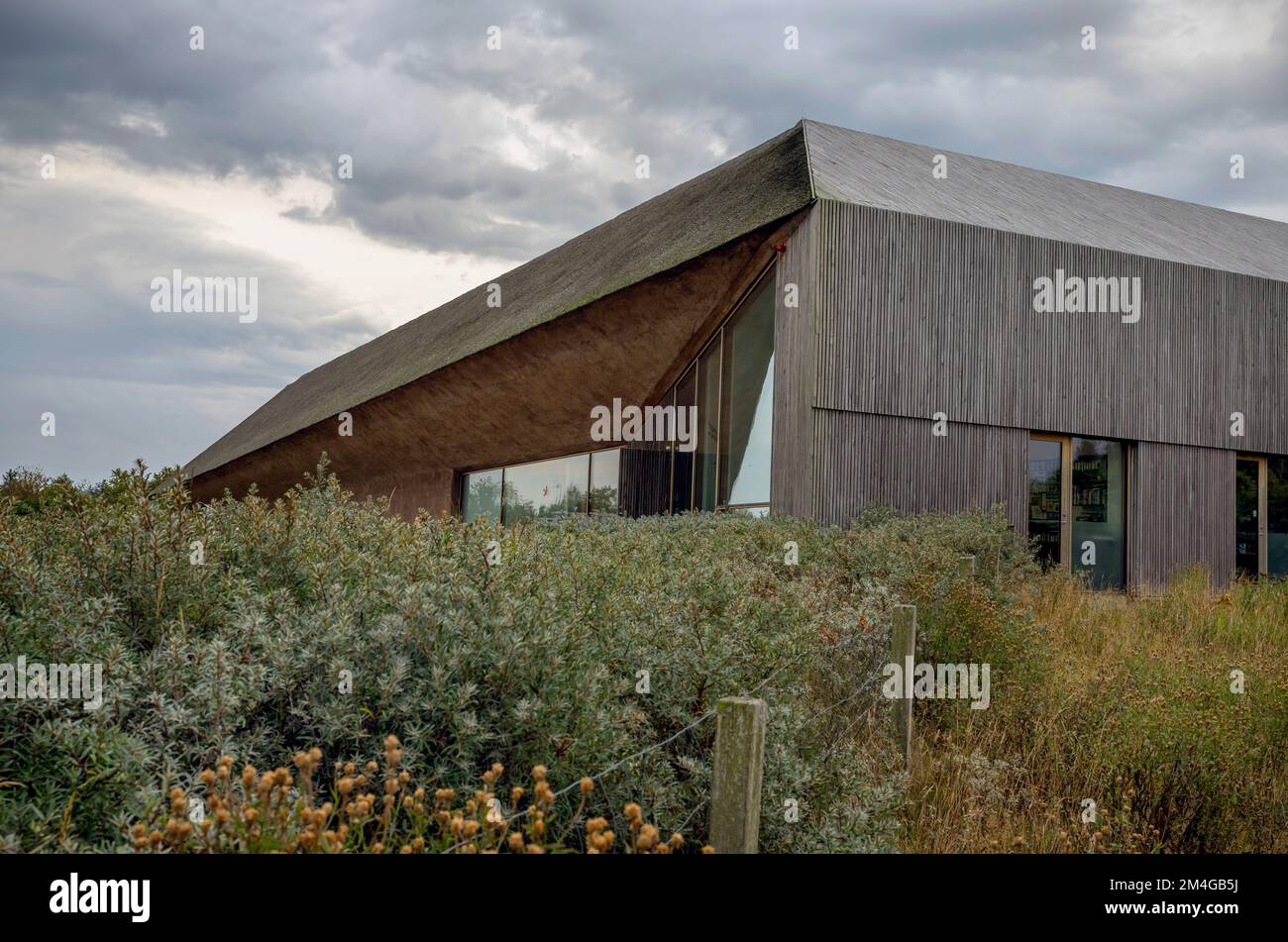 Denmark's new Wadden Sea Center modern with natural materials (reed ...