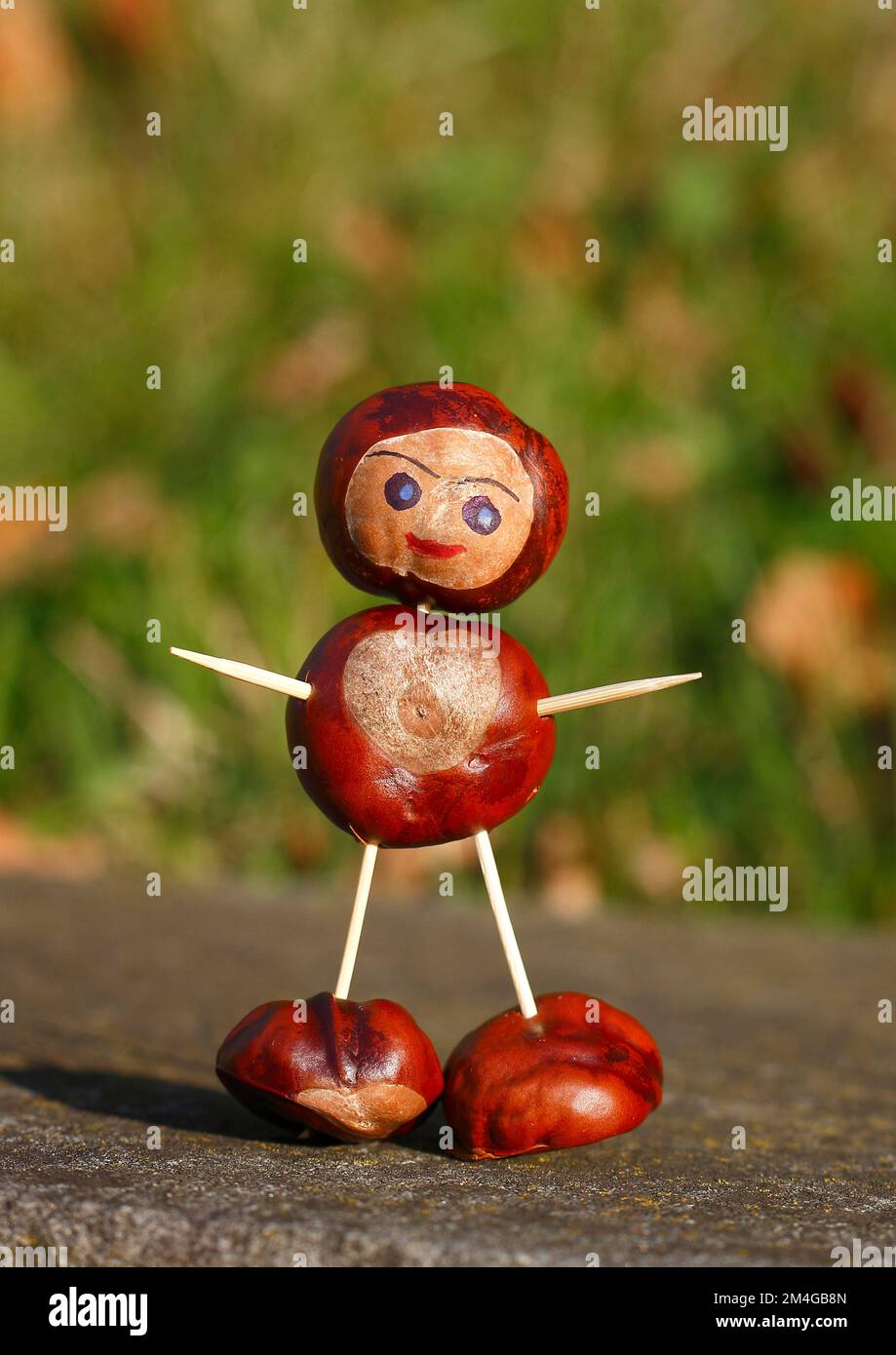 cute chestnut figure Stock Photo - Alamy
