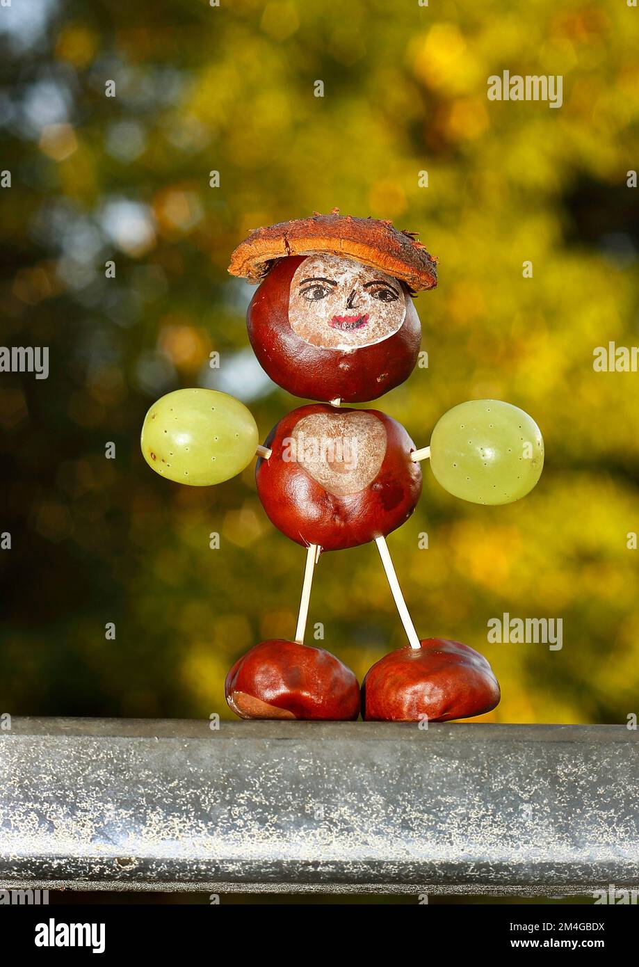 cute chestnut figure with wine grapes Stock Photo - Alamy