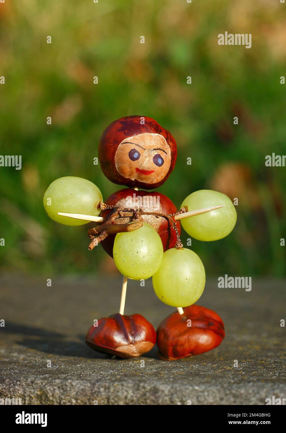 cute chestnut figure with wine grapes Stock Photo - Alamy