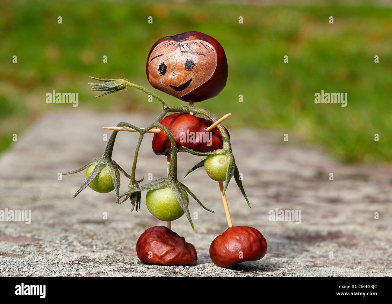 Cute chestnut figure with small tomatoes on wall Stock Photo - Alamy