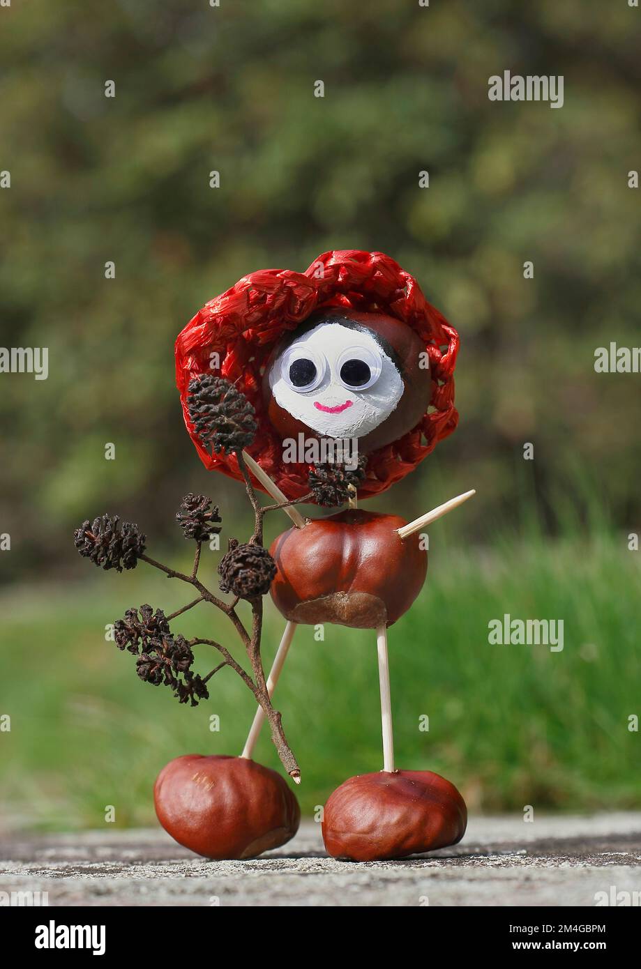 chestnut figure carrying black alder cones Stock Photo - Alamy