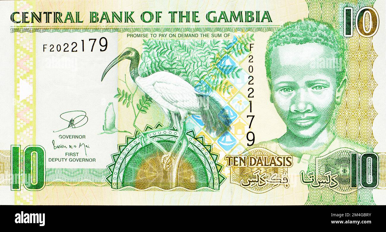 African money banknote banknotes cash hi-res stock photography and ...
