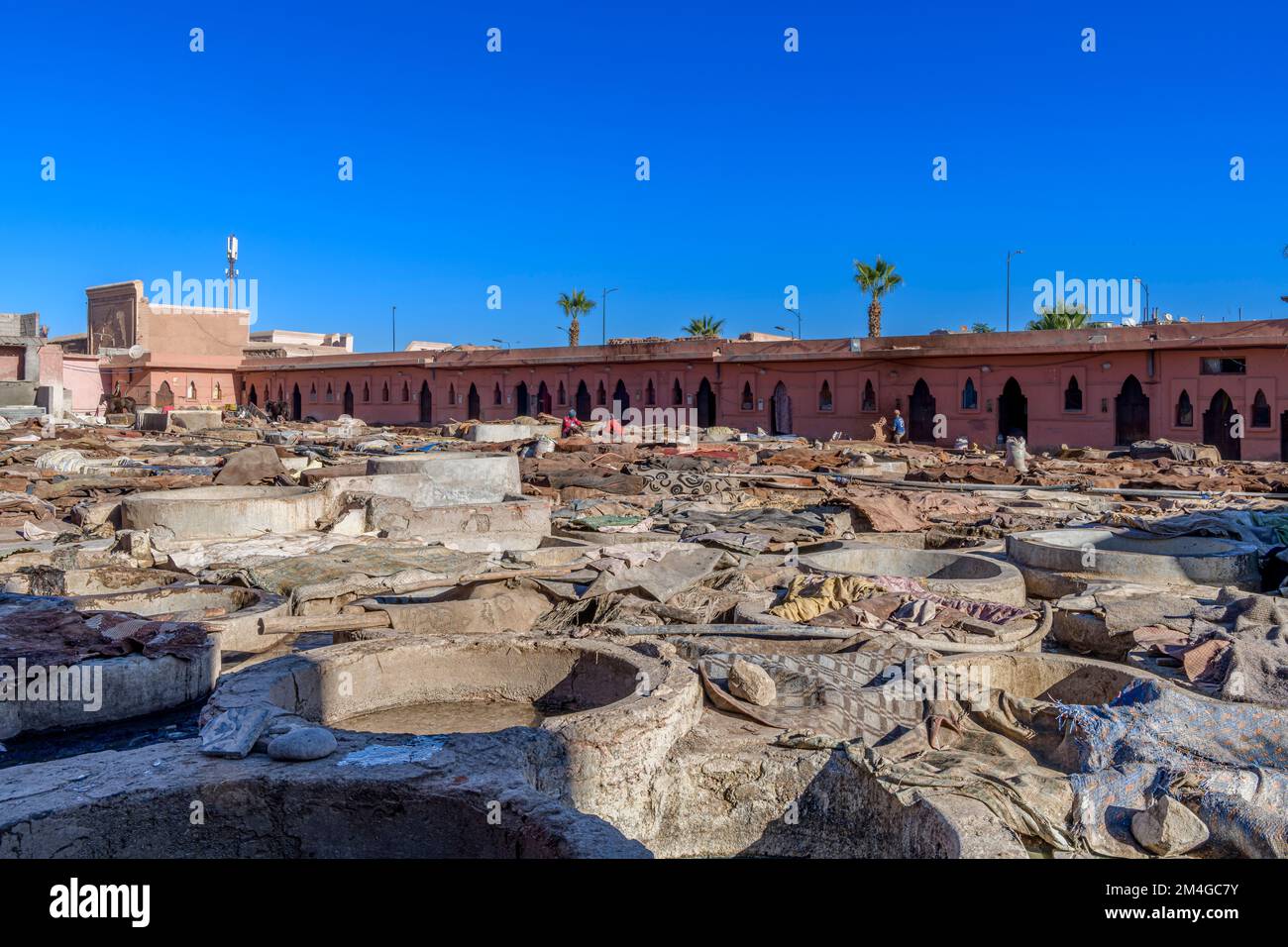 The tanneries in the outskirts of Marrakech. Murdered animals are ...