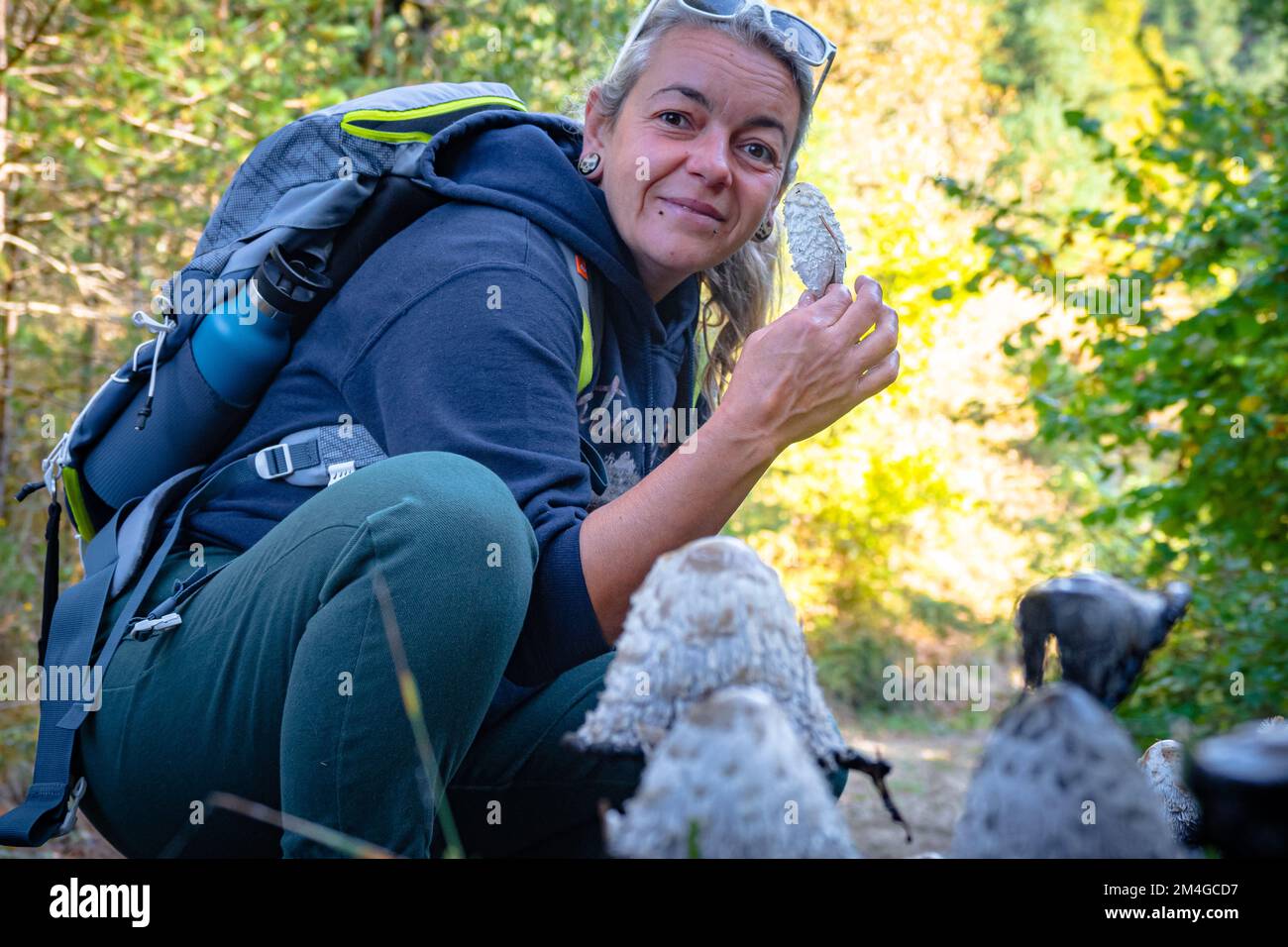 Mushroom forager trying to identify wild mushrooms in the forest with ...