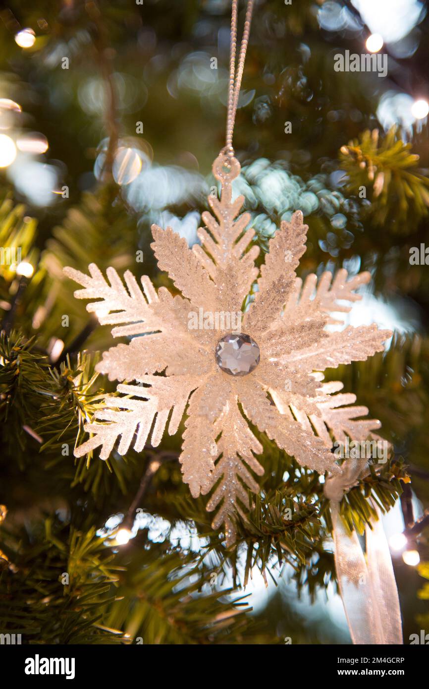 Snow falke hi-res stock photography and images - Alamy