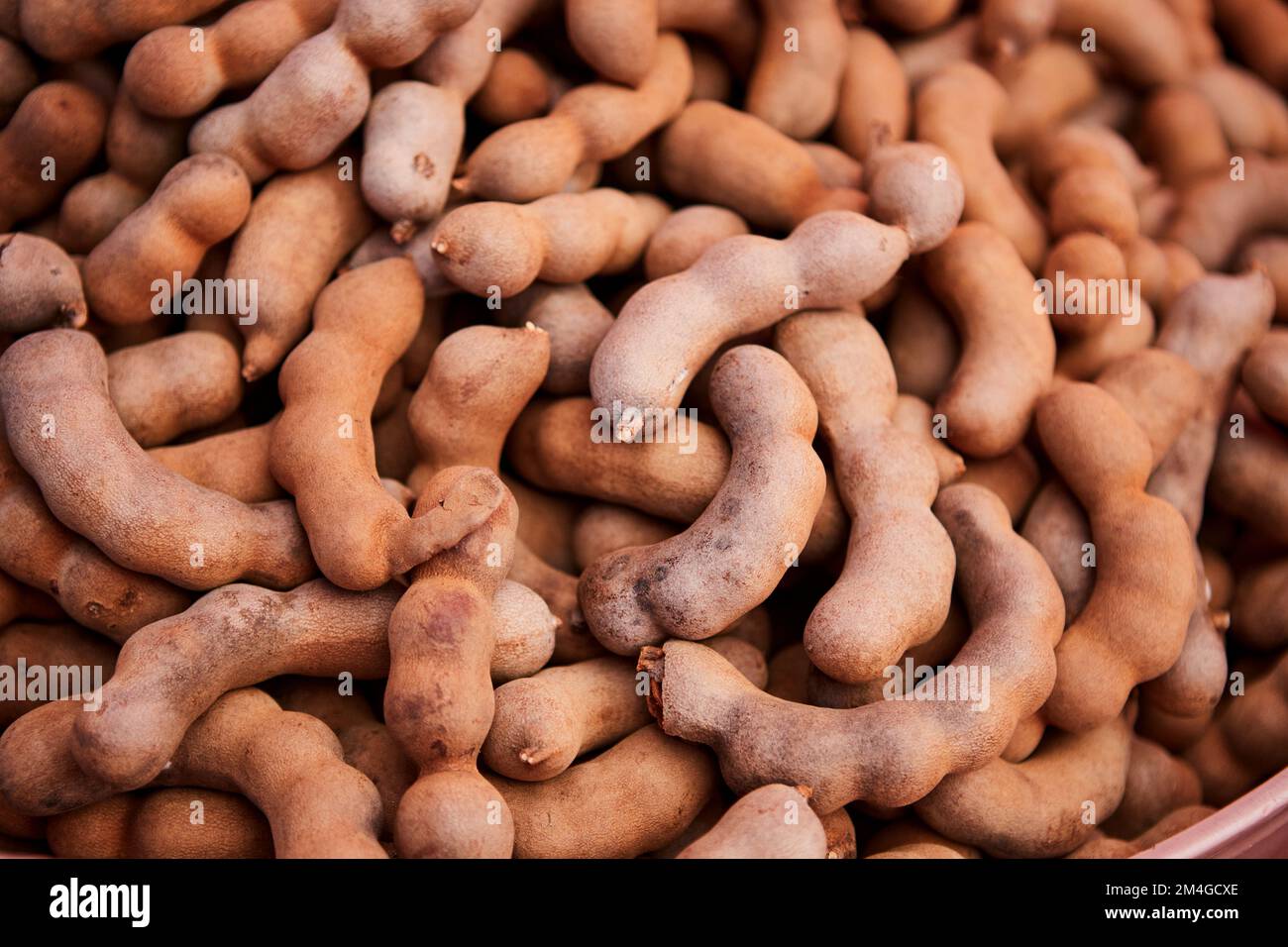 Ripe sweet tamarind fruit in the basket Stock Photo - Alamy