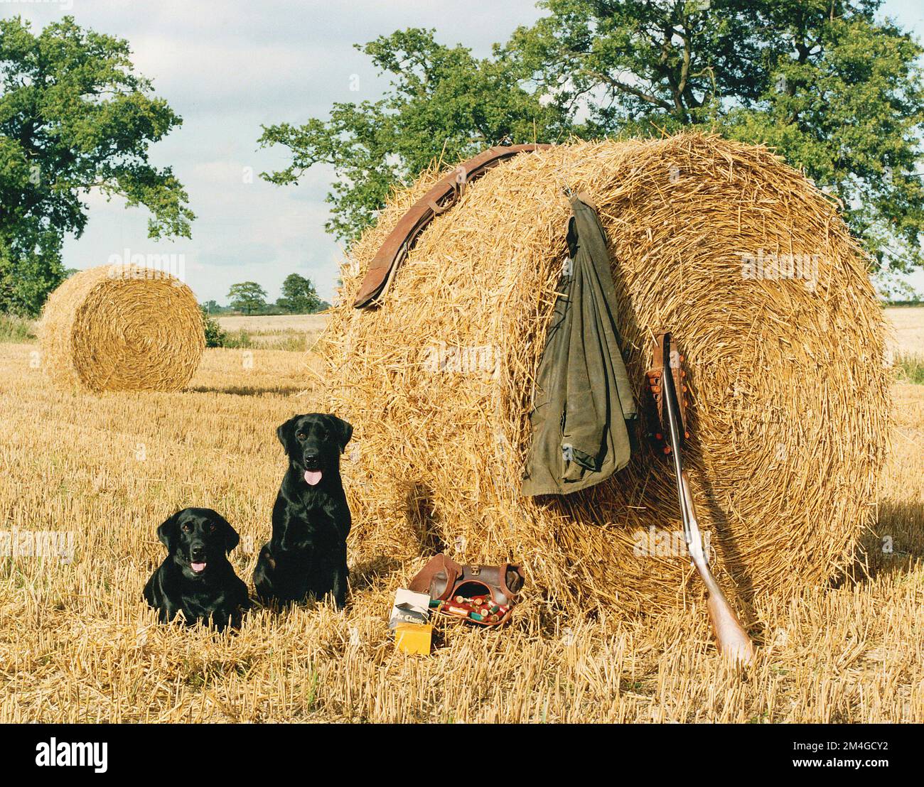 Gundogs and gamekeeper hi-res stock photography and images - Alamy