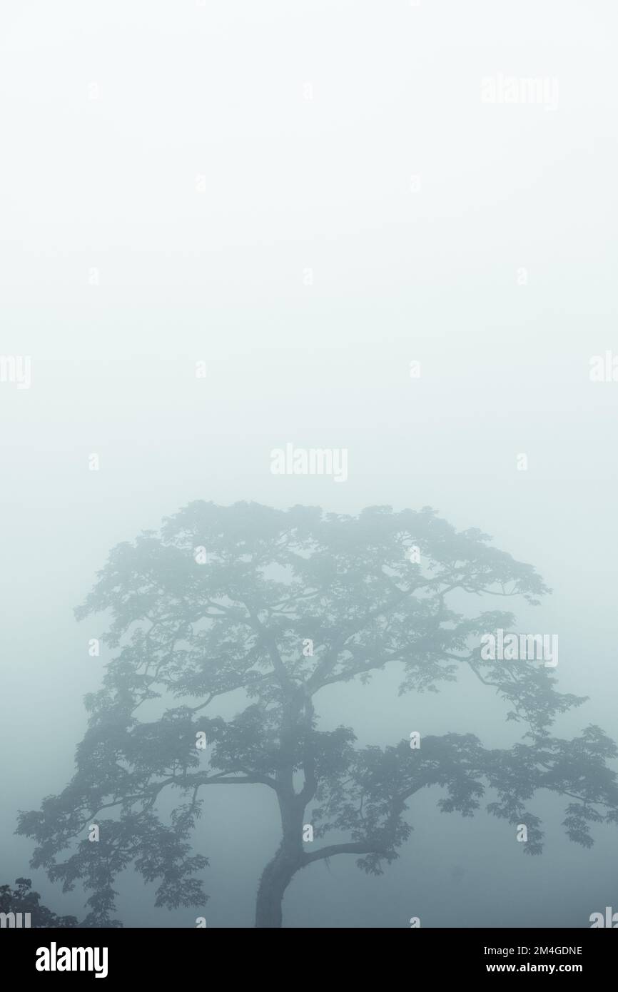 Midnight mist hi-res stock photography and images - Alamy