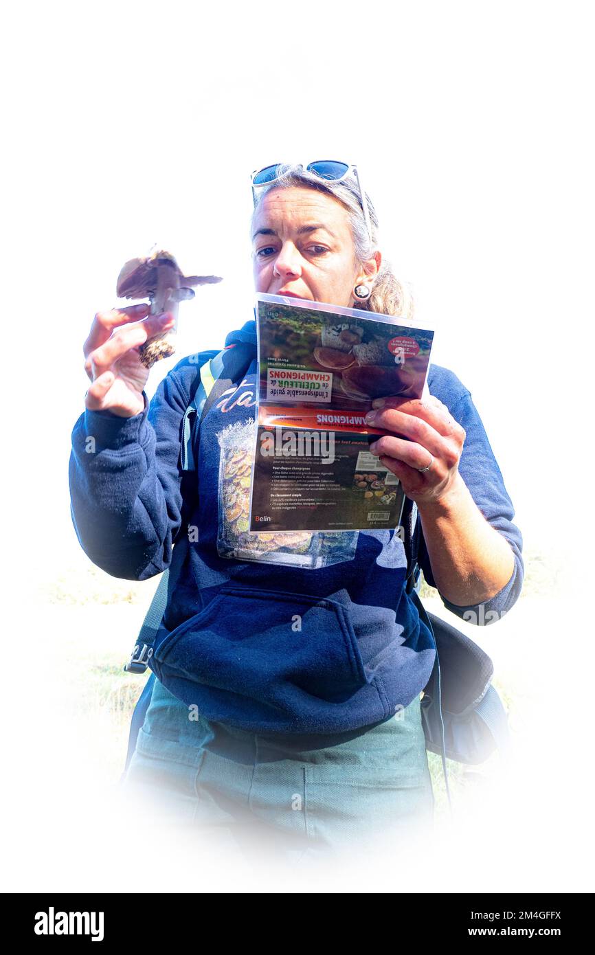 Mushrooms in forest fall Cut Out Stock Images & Pictures - Alamy