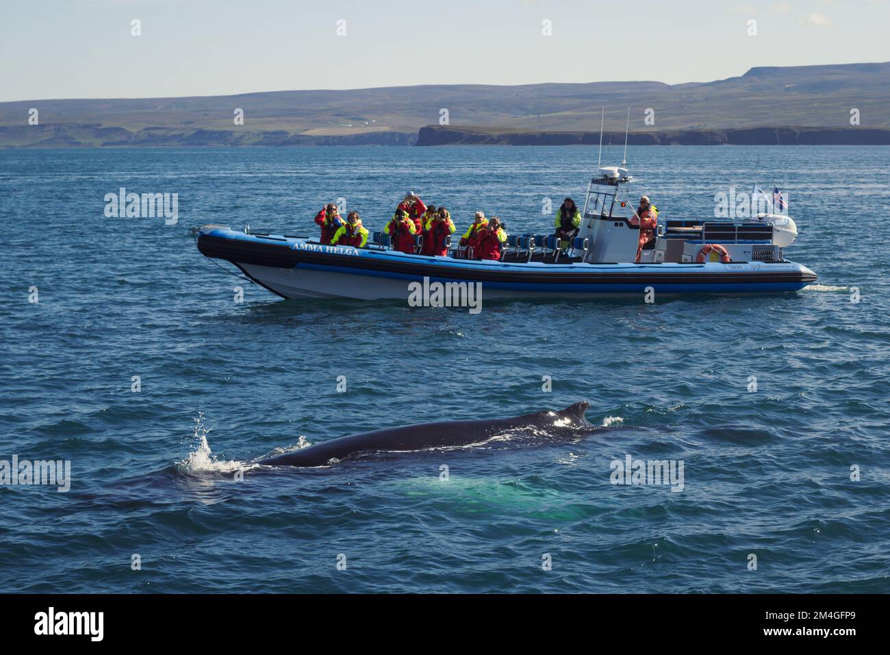 White whale ship hi-res stock photography and images - Alamy