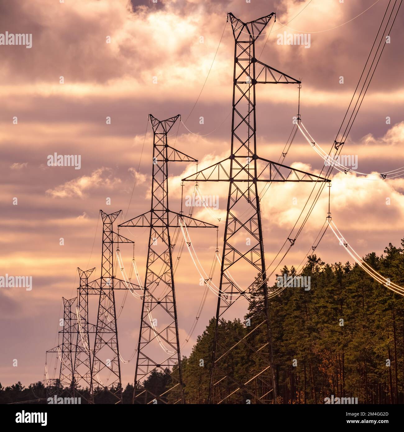 High voltage electricity power line towers near forest. Cloudy sky ...