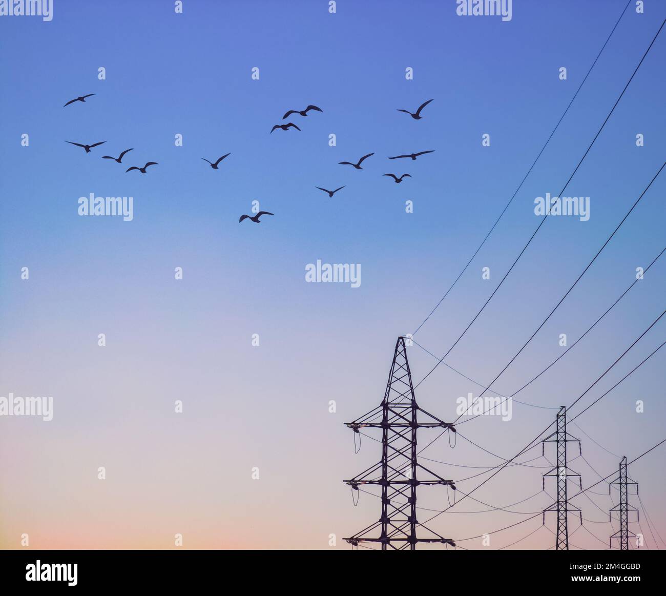 High voltage electricity power line towers against sky. Flying birds ...