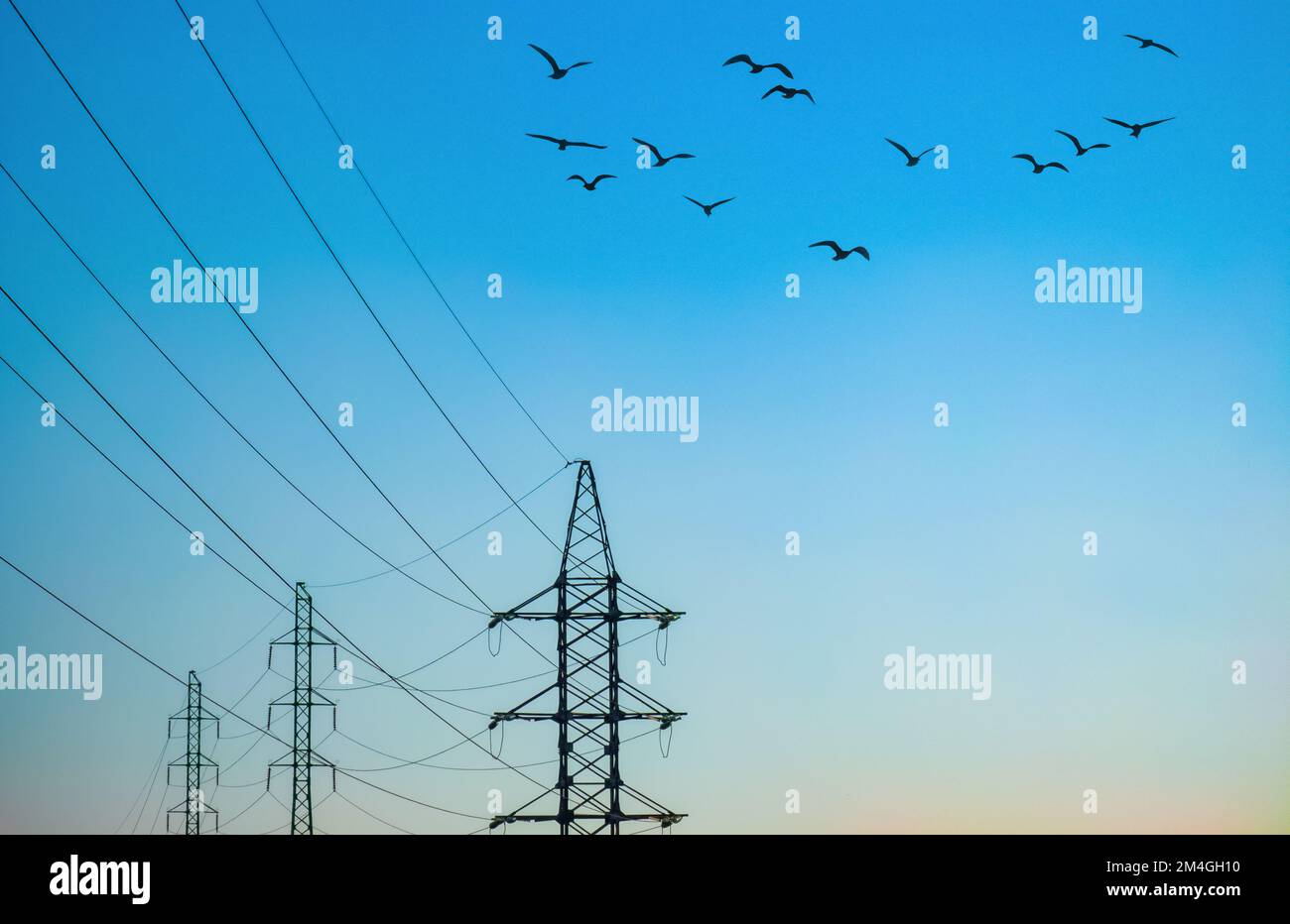 High voltage electricity power line towers against sky. Flying birds ...