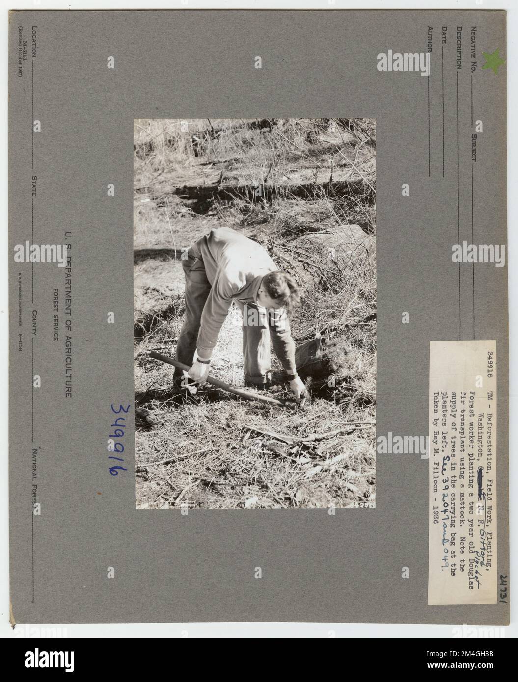 Reforestation: Planting - Washington. Photographs Relating to National ...