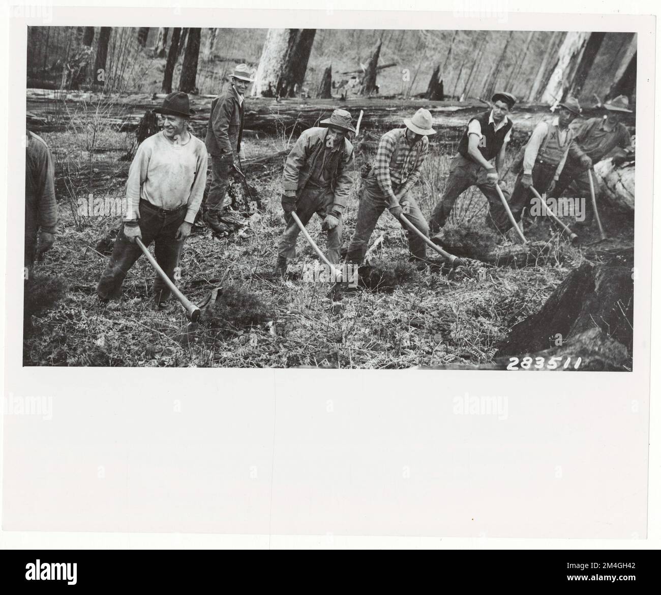 Reforestation: Planting - Washington. Photographs Relating to National ...