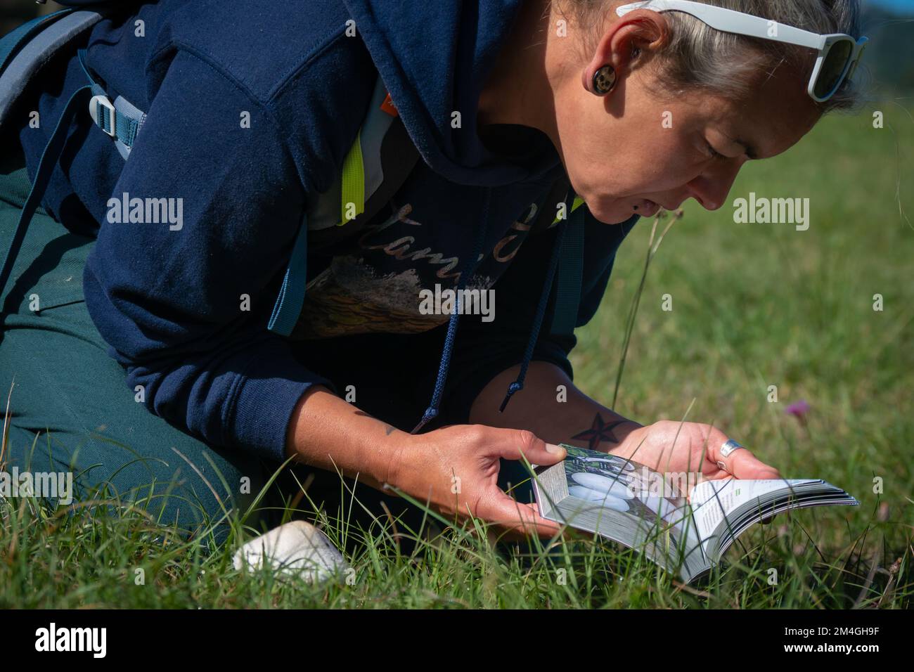 Mushroom forager trying to identify wild mushrooms in the forest with ...