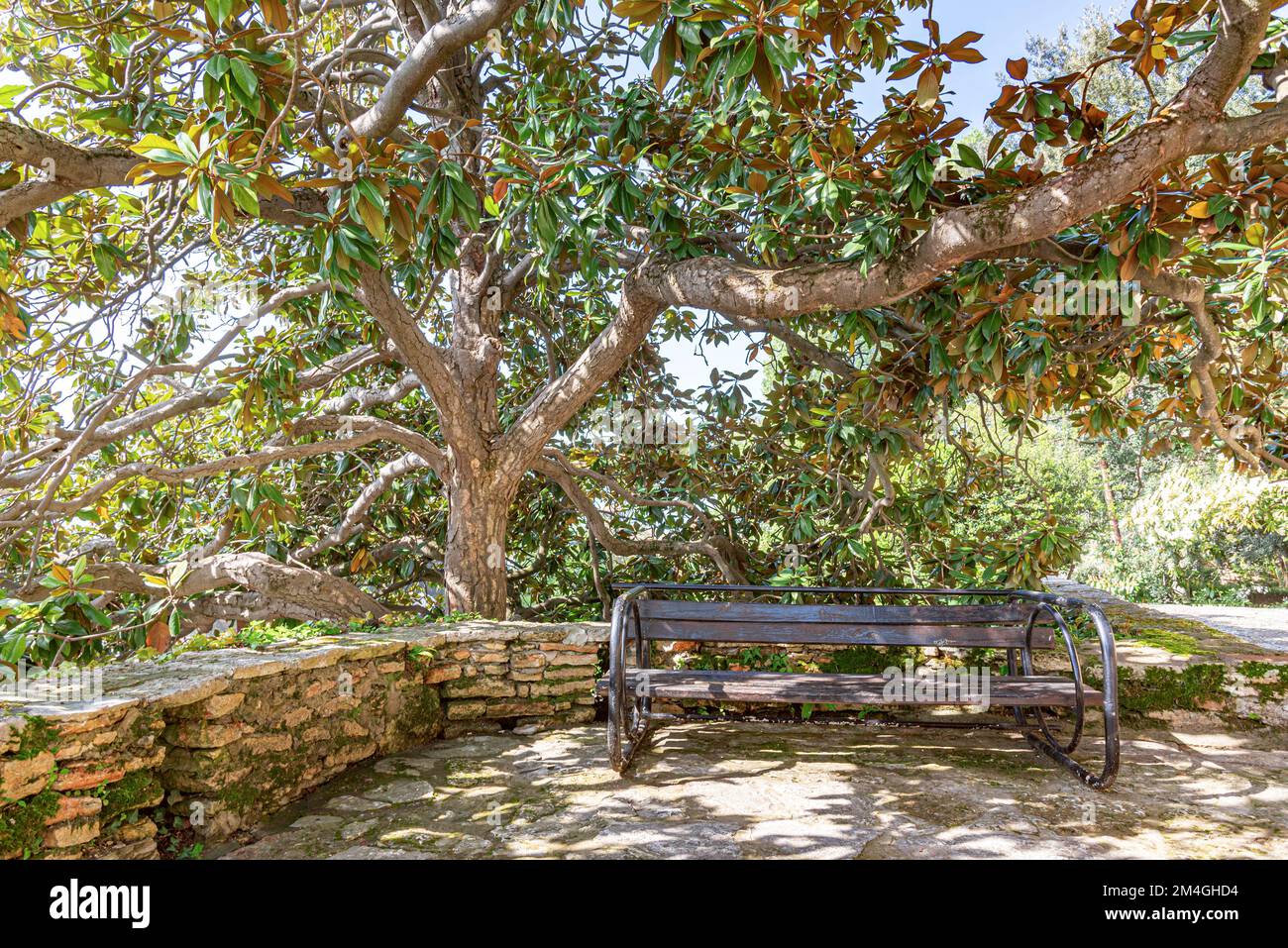 Landscaping effect hi-res stock photography and images - Alamy