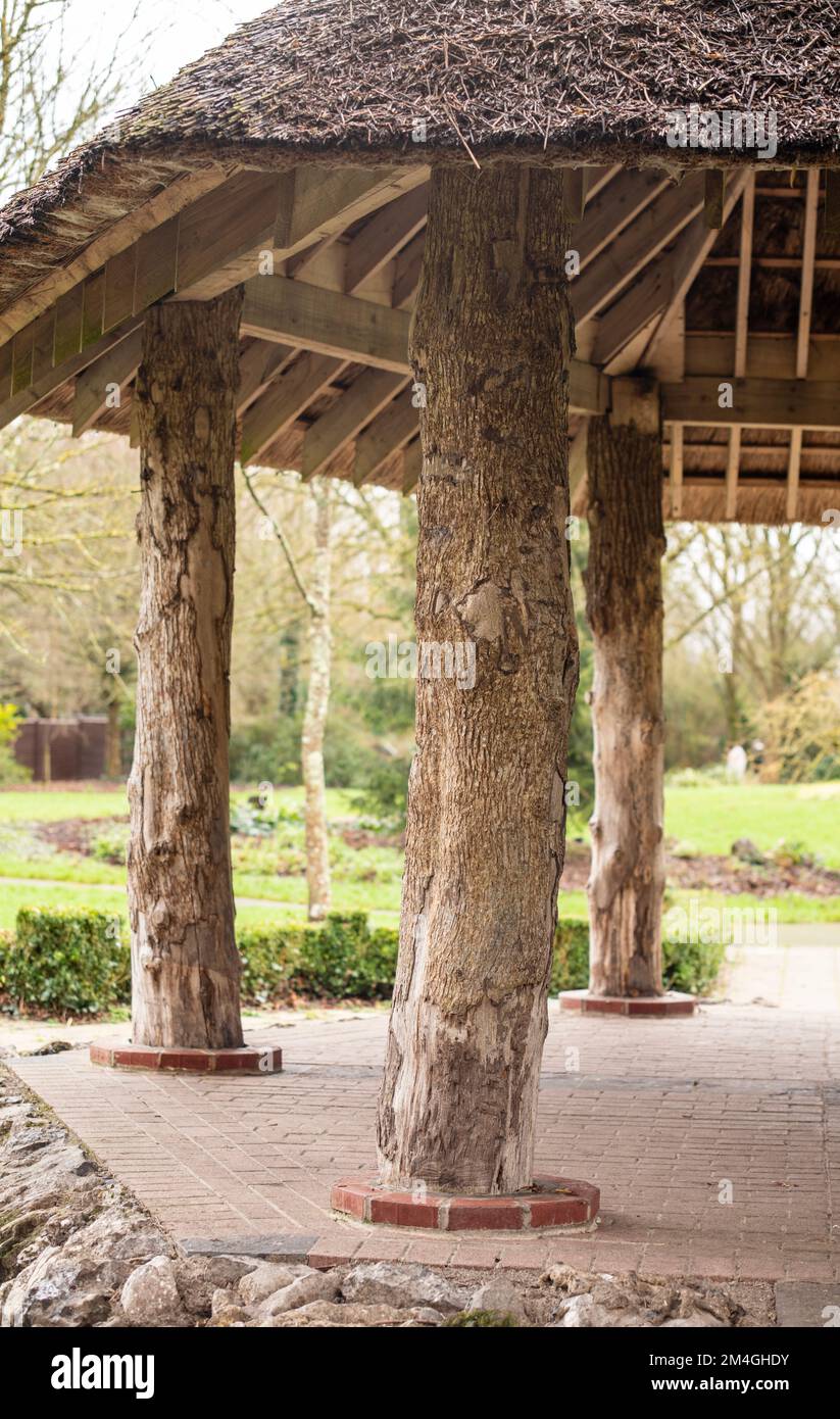 green nature in the lens of the camera ,trees and plants in the open ...