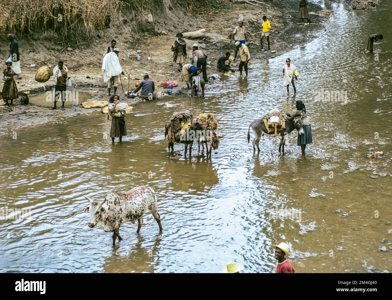 African women wash in river hi-res stock photography and images - Alamy