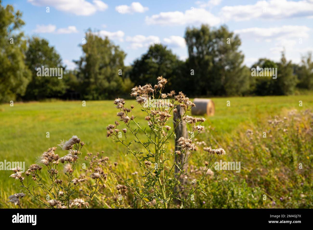 Colourful fence posts hi-res stock photography and images - Alamy