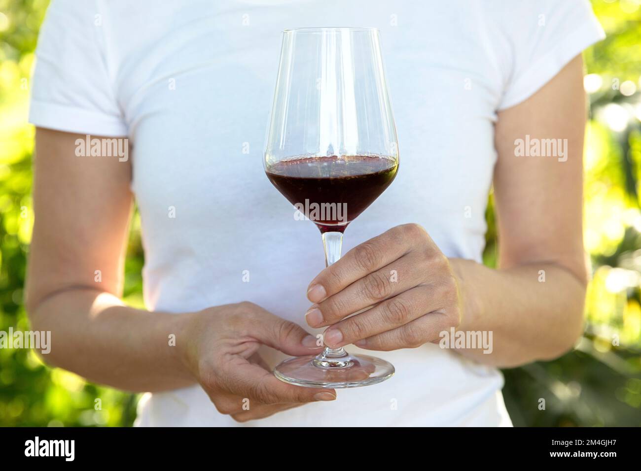 Woman holding a glass of red wine chkhaveri during wine tasting from ...