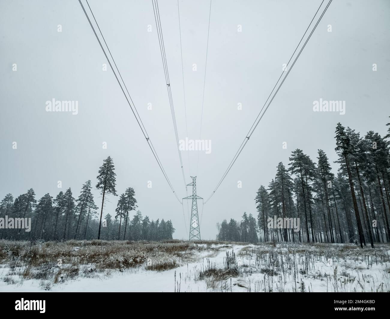 High voltage electricity power line towers near forest at winter Stock ...