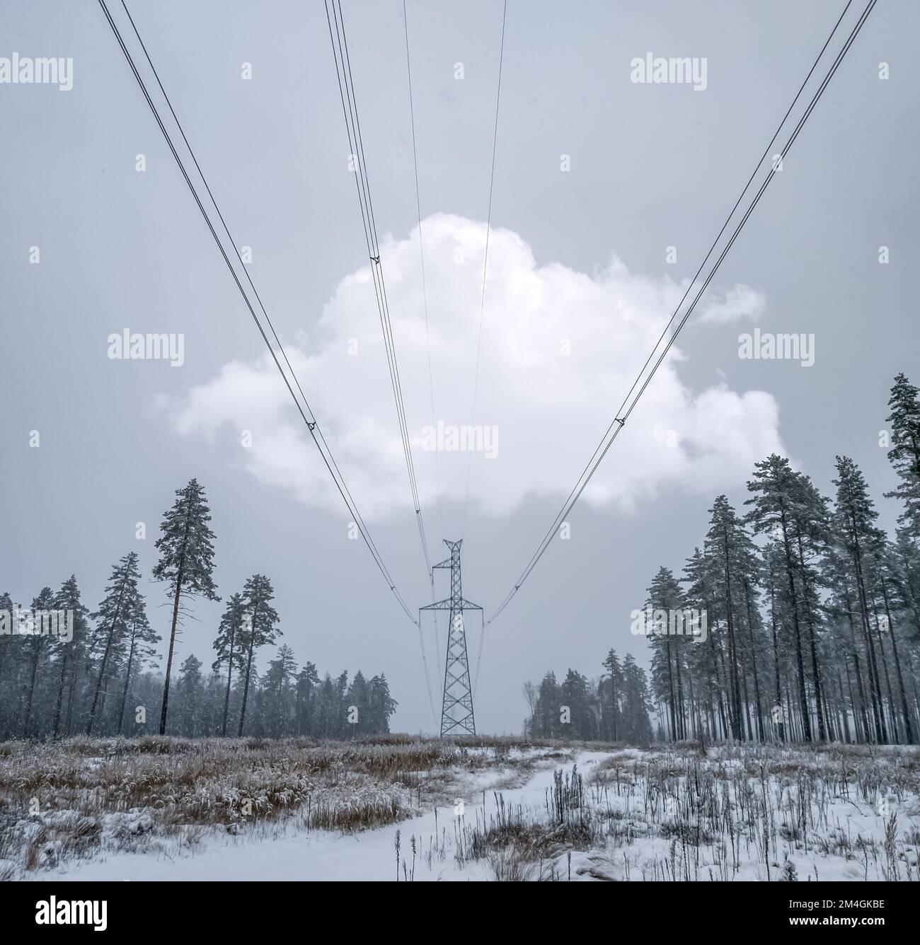 High voltage electricity power line towers near forest at winter Stock ...