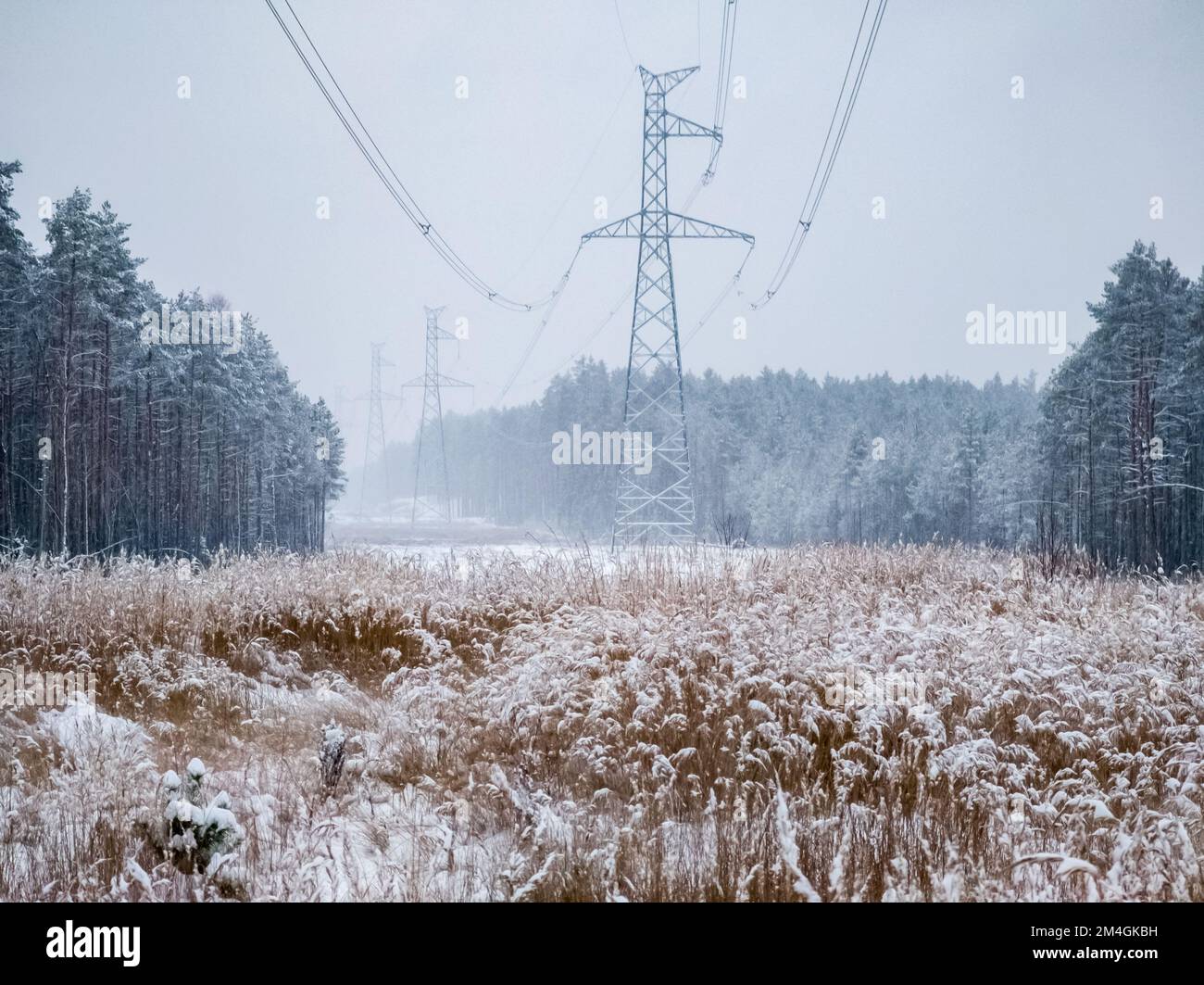 High voltage electricity power line towers near forest at winter Stock ...