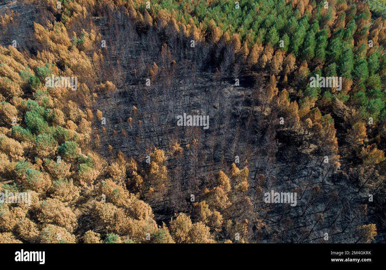 Aerial devastation hi-res stock photography and images - Alamy
