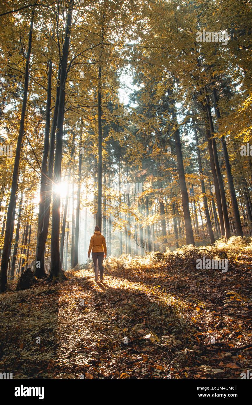 New life cycle hi-res stock photography and images - Alamy