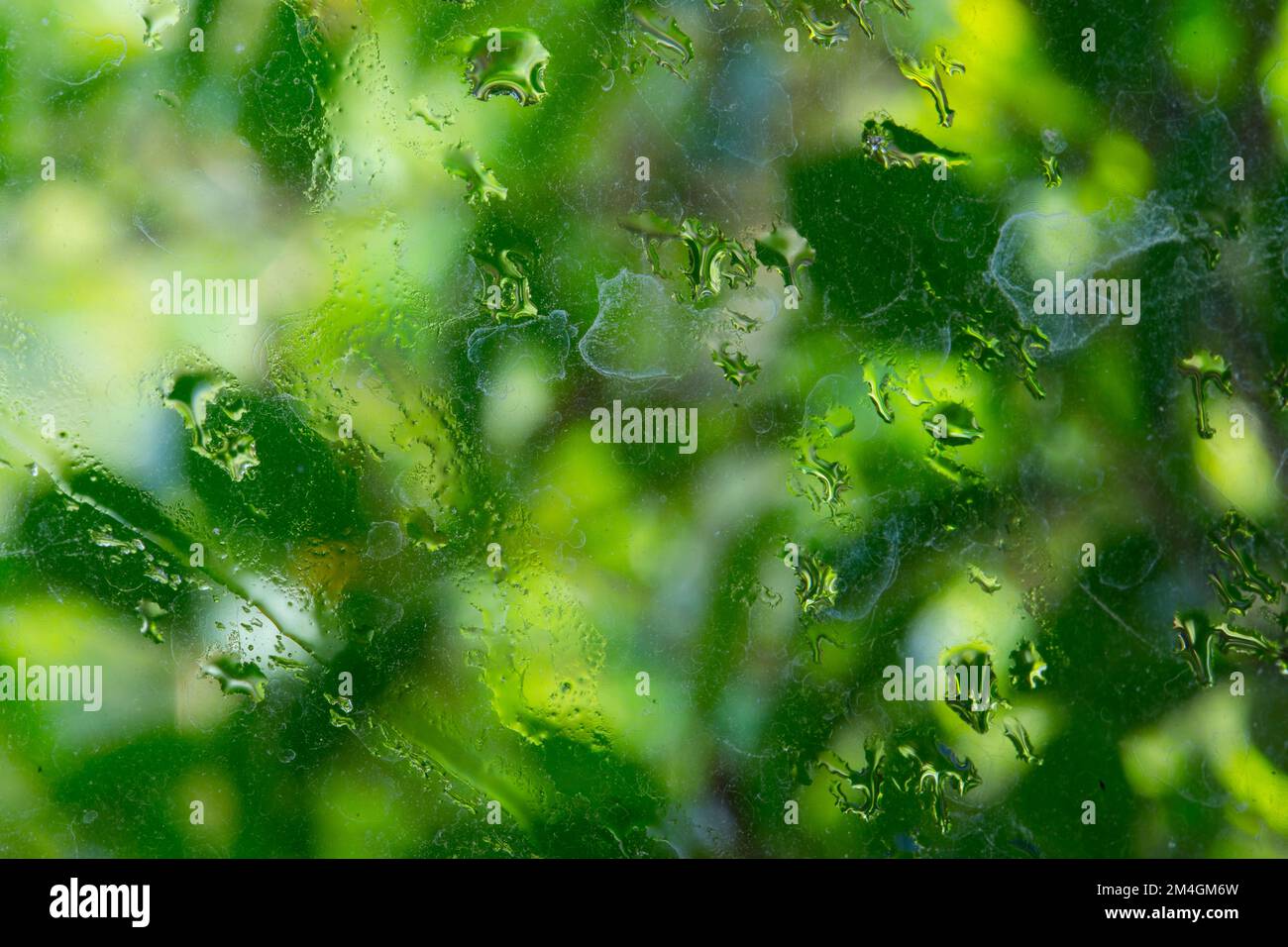 Close up dry water stains on the glass window, water drops of rain on a ...