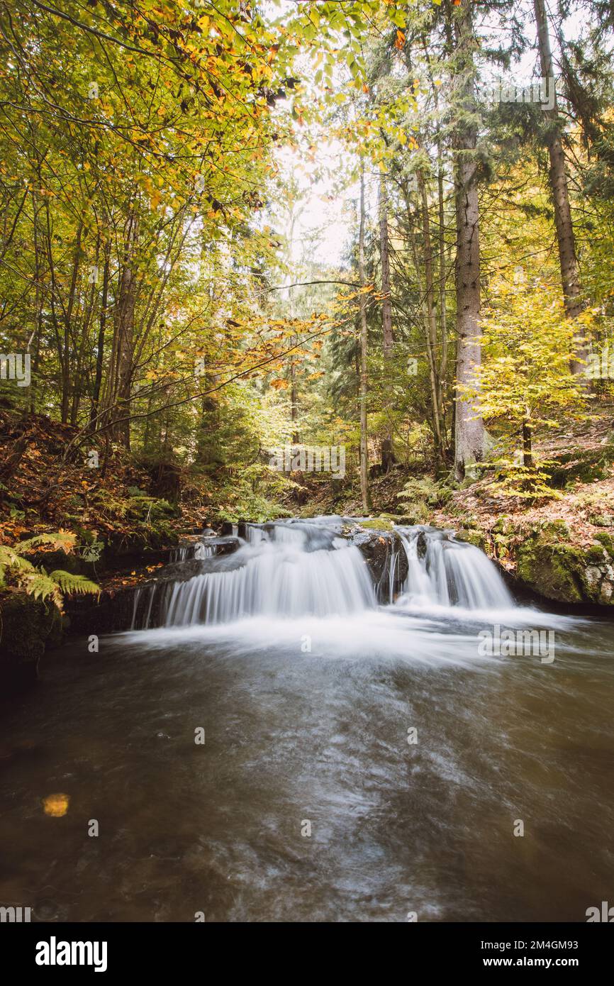 Long exposure of a lost river in a nature reserve surrounded by fallen ...