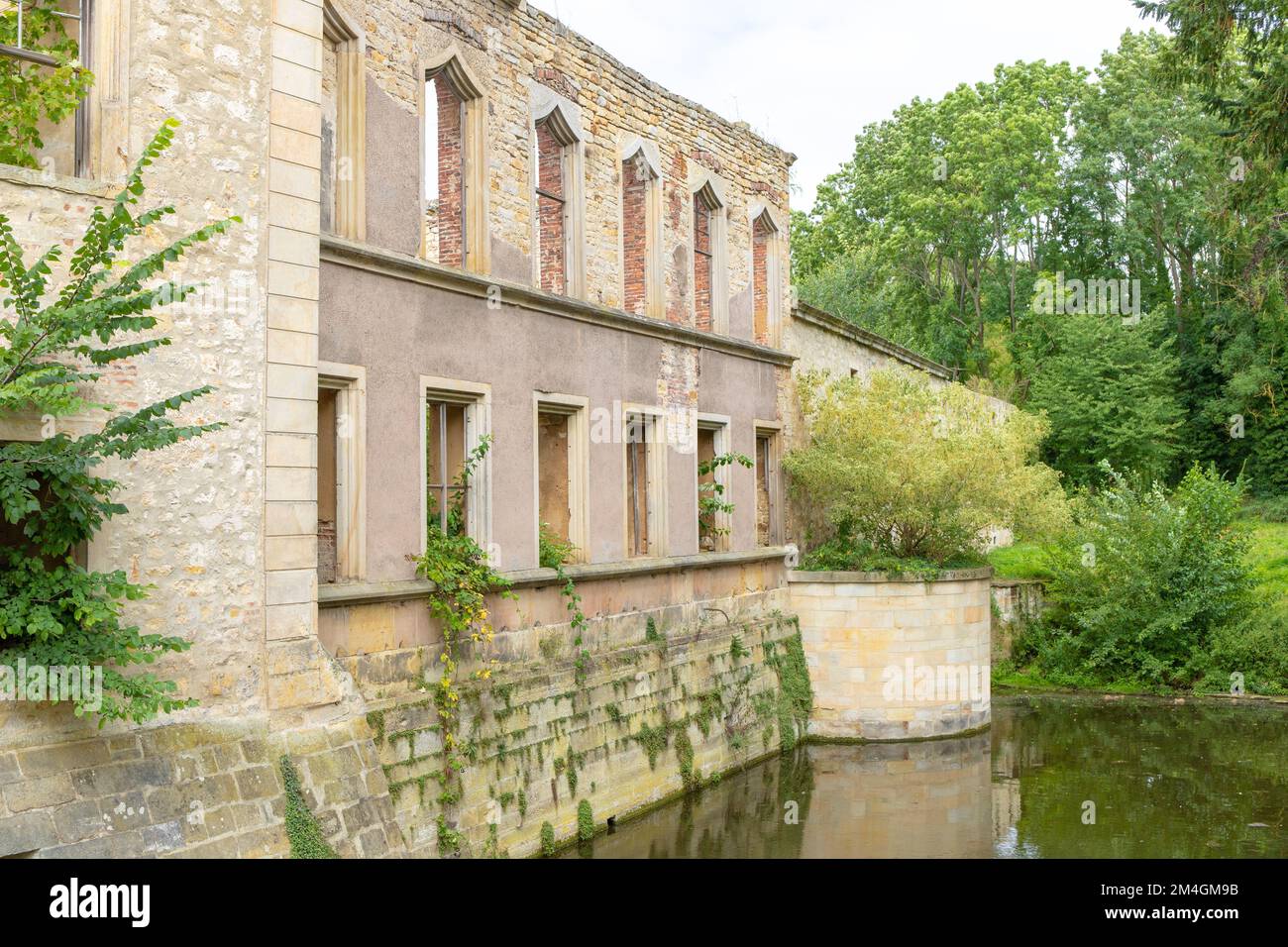 Castle ruin in Harbke in Germany, overgrown with vines. High quality ...