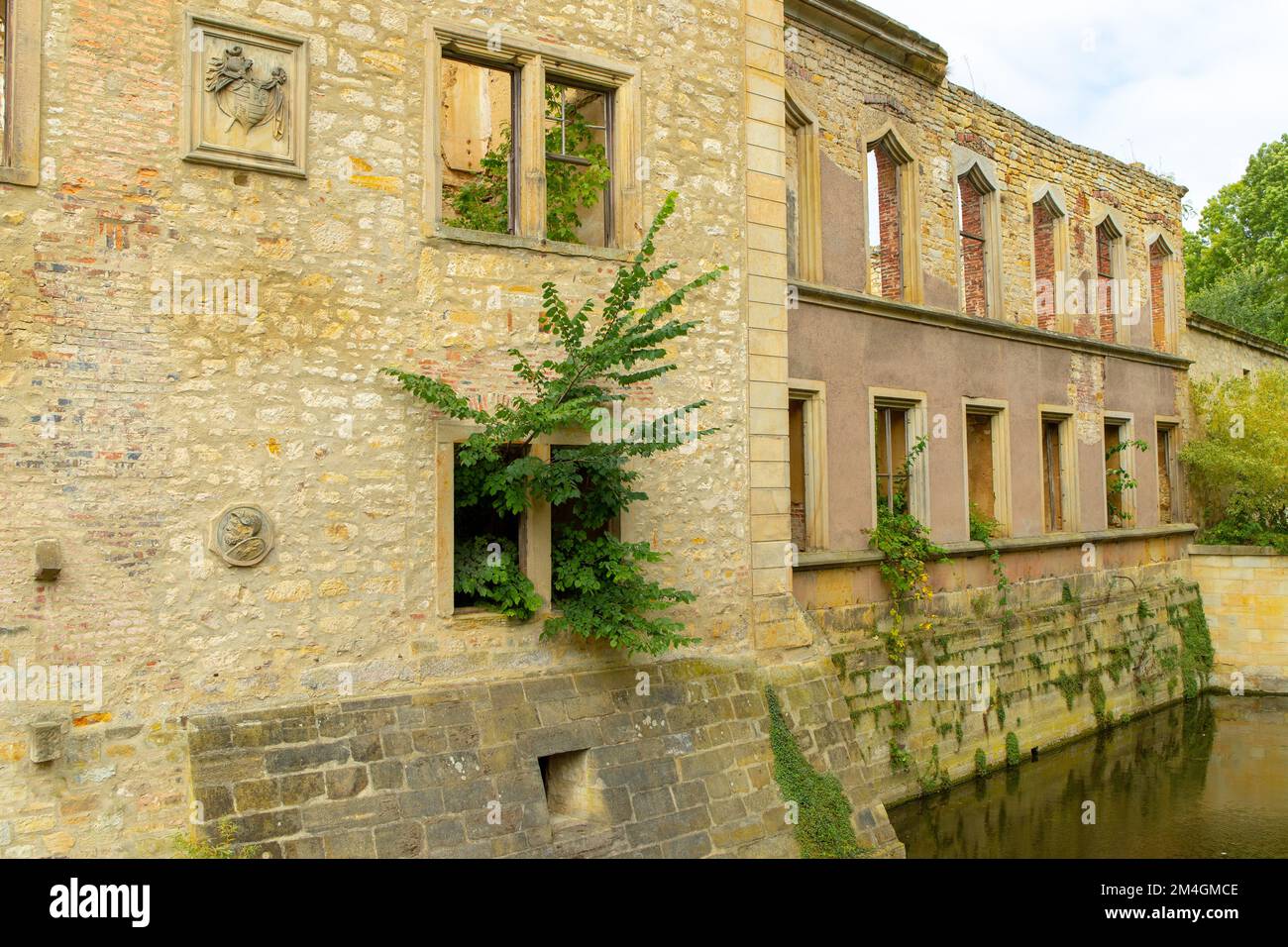 Castle ruin in Harbke in Germany, overgrown with vines. High quality ...