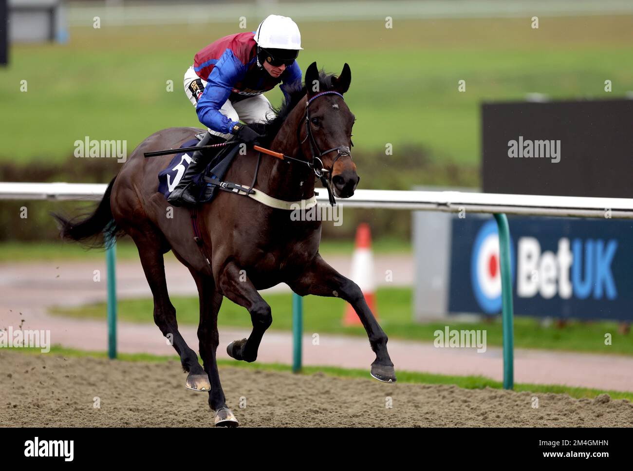 Tara Strong Pony Wears The Saddle
